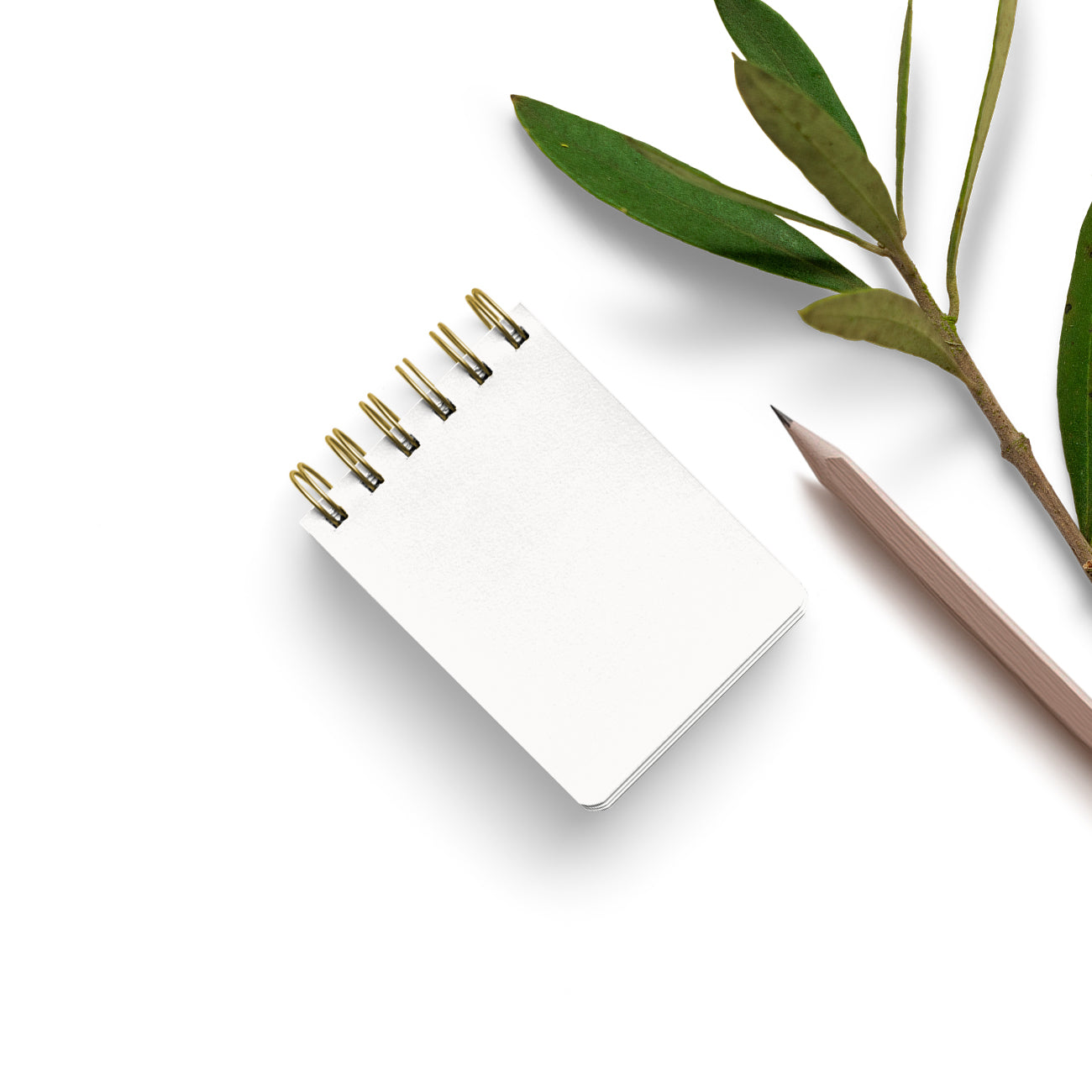 Pocket Notes, Soft Lines – Simply Ollie